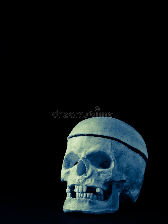 Halloween Background Creepy Human Skull Stock Image - Image of ghoulish ...