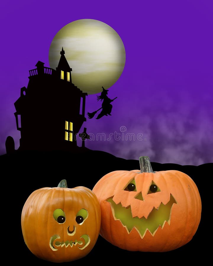 Tomato heart stock image. Image of food, garden, dieting - 8869663