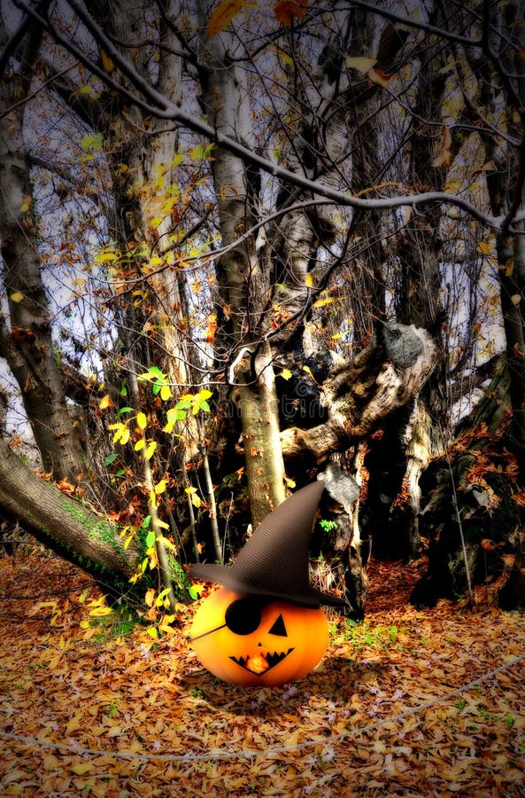 Halloween Background - Pumpkins and Trees Stock Photo - Image of forest ...