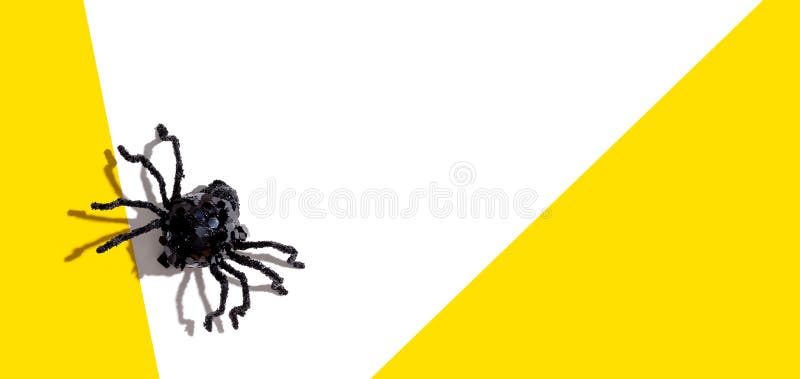Halloween black spider stock image. Image of decoration - 158097349