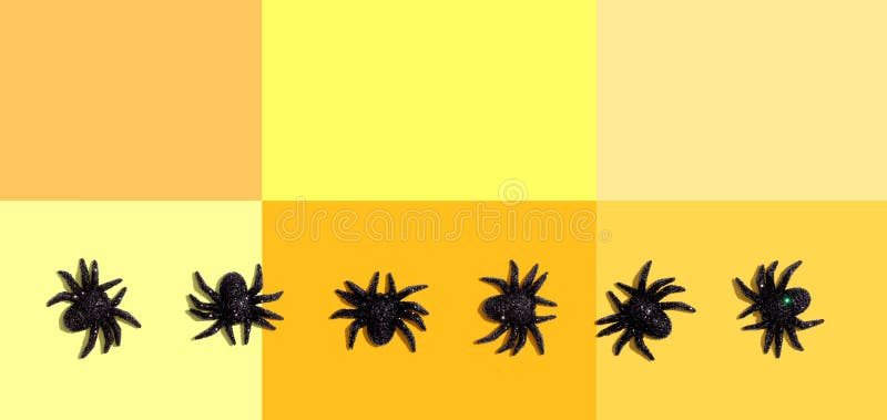 Halloween black spiders stock photo. Image of autumn - 158097314