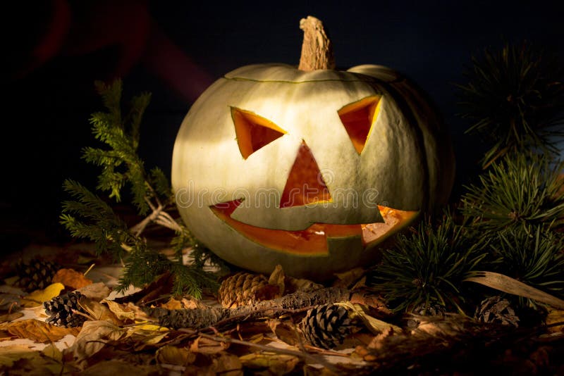 Halloween. stock image. Image of squash, carving, glow - 79063605