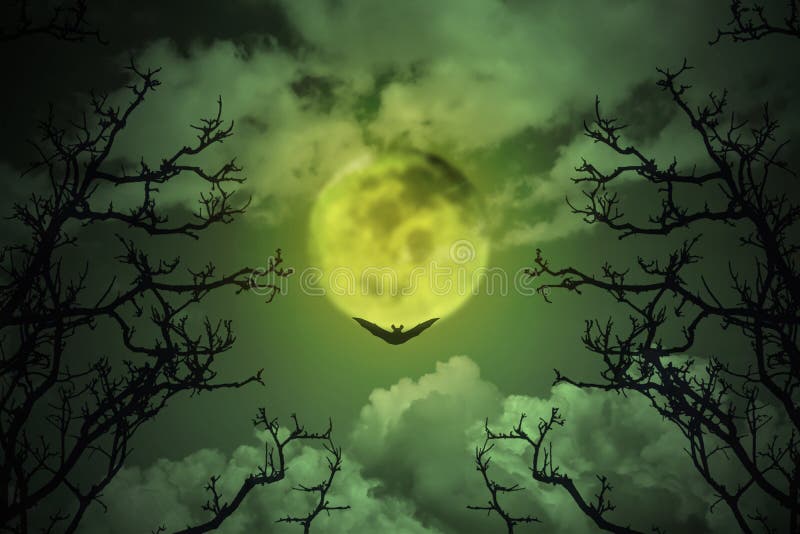 Spooky Forest Dead Tree with Full Moon Sky Stock Photo - Image of ...