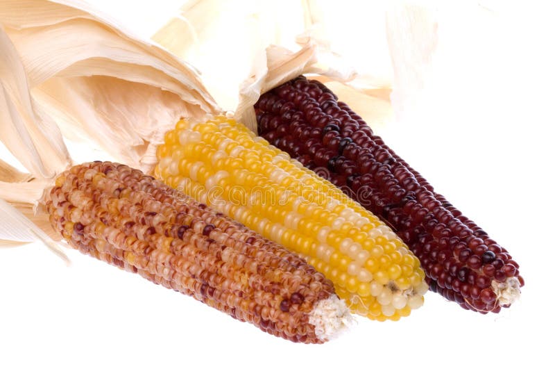 Halloween Corns Isolated stock image. Image of seasonal - 6876669
