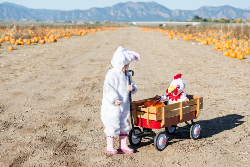 Halloween Costumes stock photo. Image of agriculture - 46031330