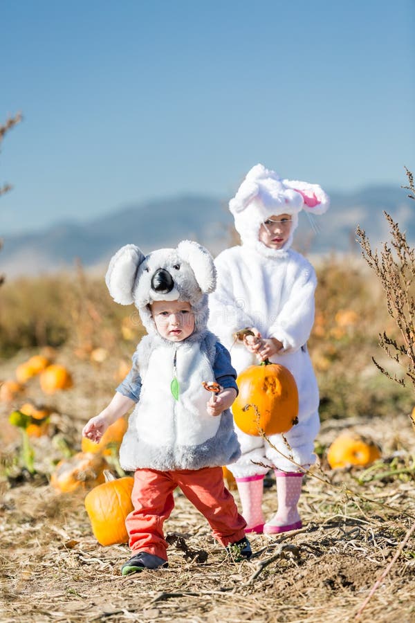 Halloween Costumes stock photo. Image of agriculture - 46031330