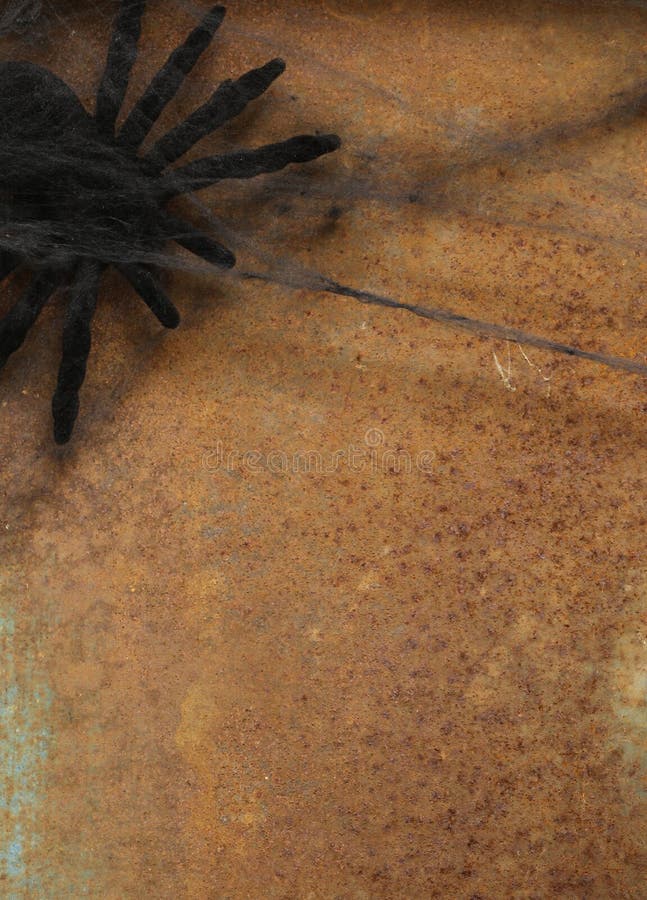 Halloween Decorations - Black Spider Web, and Bats Stock Image - Image ...