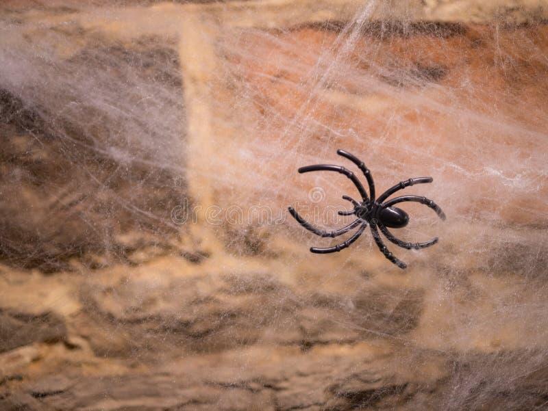 Halloween Decorations, Brick Wall, Thick Spider Webs, Fake Spiders ... Halloween Decorations, Brick Wall, Thick Spider Webs, Fake Spiders ...
