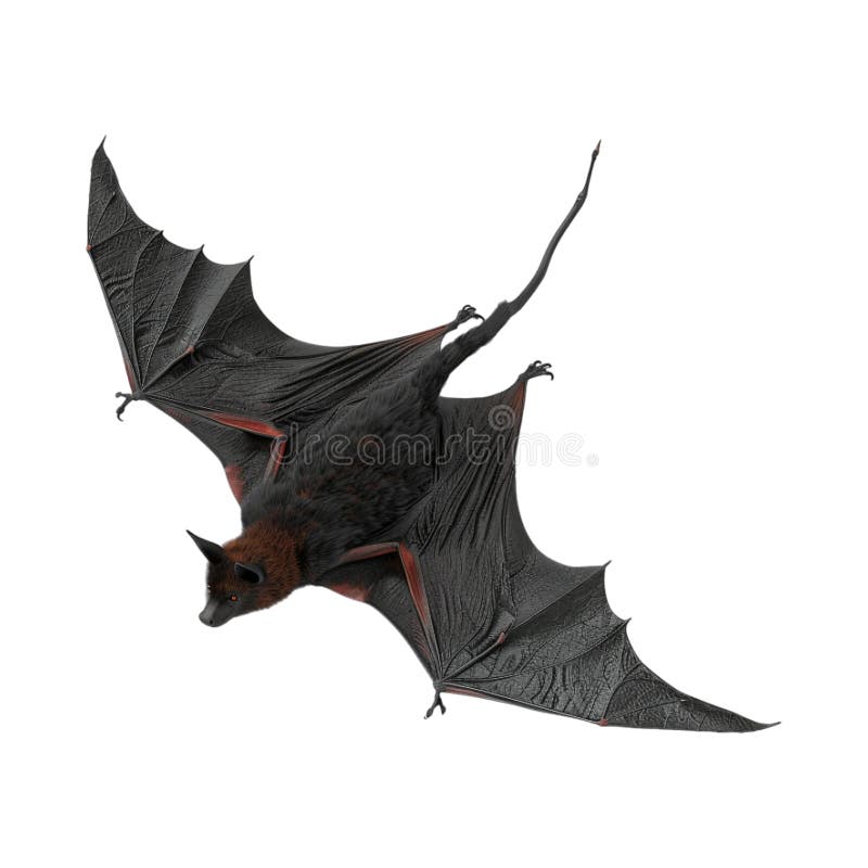 Set of Halloween Flying Bats for Your Design, Game, Card. Big ...