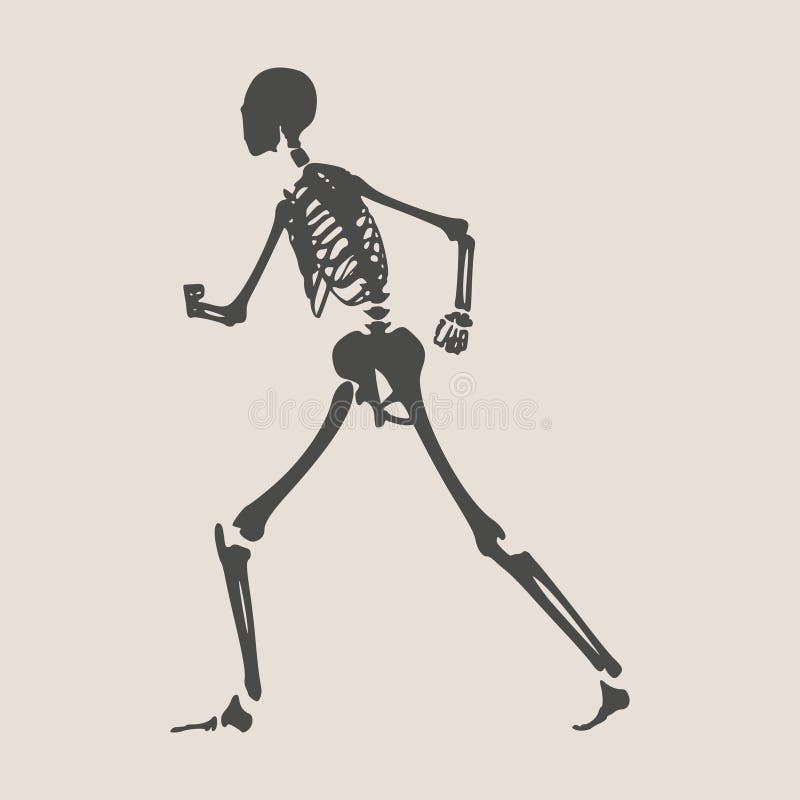 Skeleton on a Fighting Position Stock Illustration - Illustration of ...