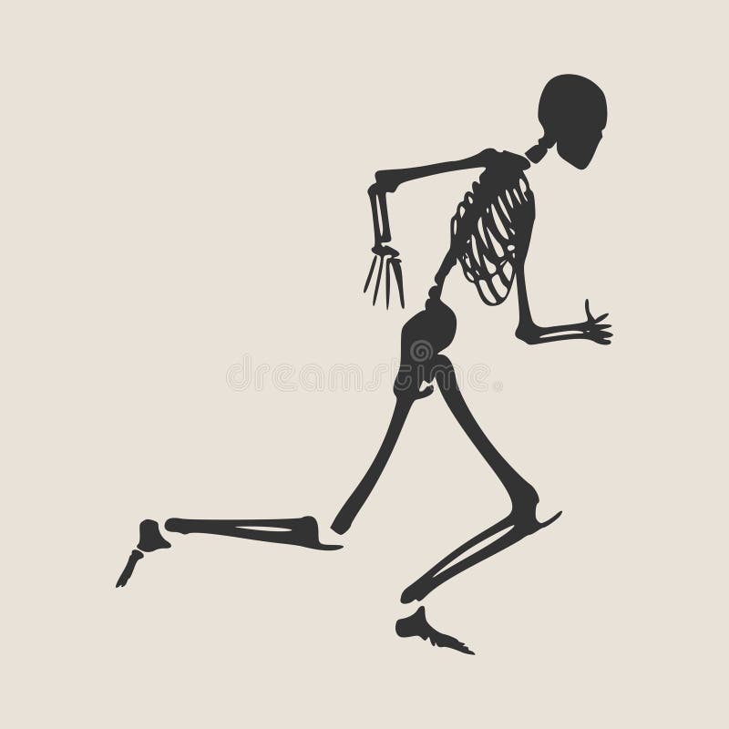 Human Body Skeleton Running Stock Illustrations – 809 Human Body ...