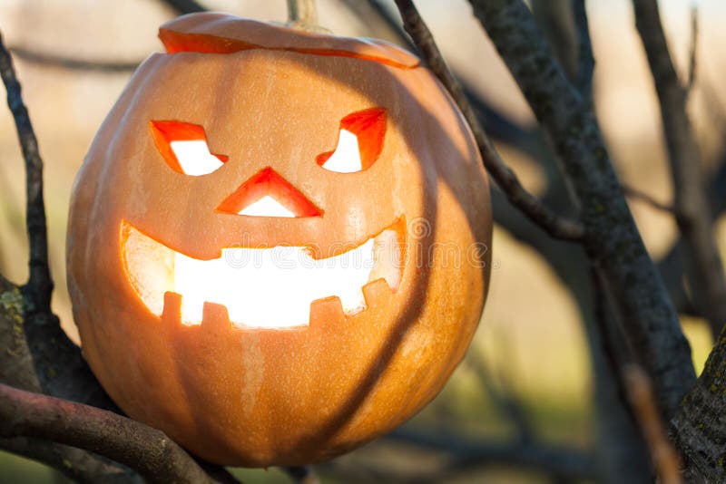 Halloween jack-o-lantern stock image. Image of carved - 34851973