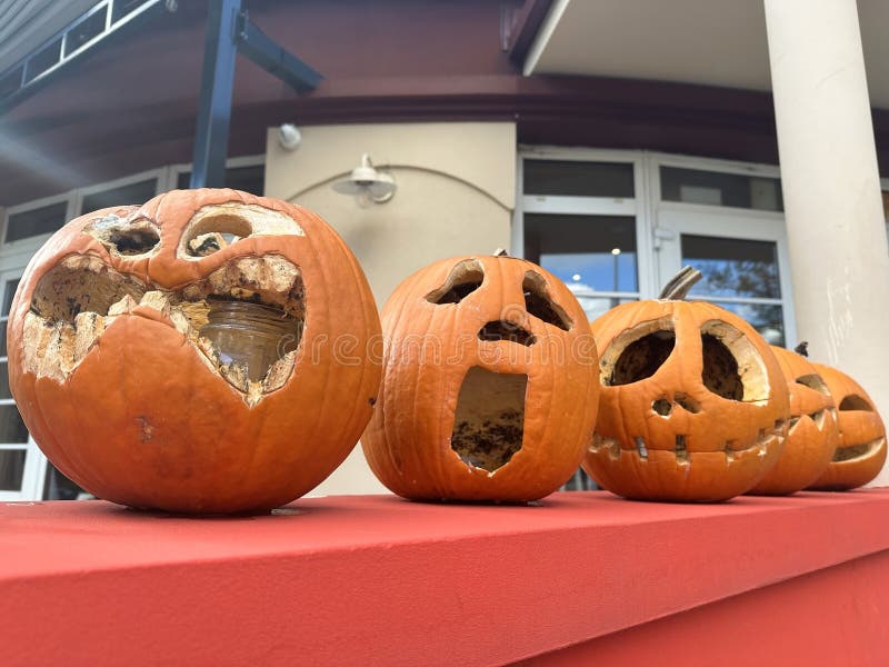 Halloween Jack O Lanterns Pumpkins in a Row Stock Photo - Image of ...