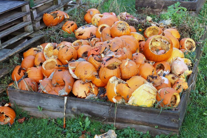 After Halloween, a Lot of Pumpkins Rot in the Garbage Dump Stock Photo ...