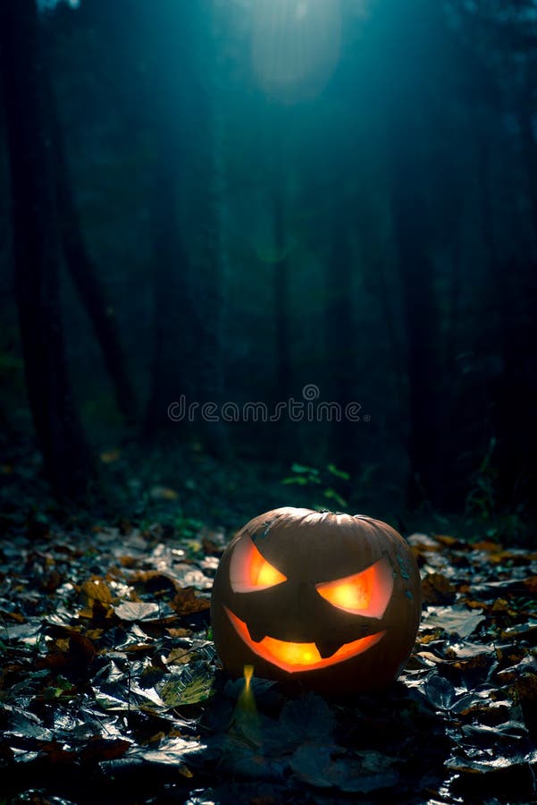Halloween pumpkin at night stock image. Image of moonlight - 44772021