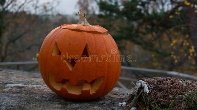 A very normal pumpkin stock photo. Image of halloween - 102859460