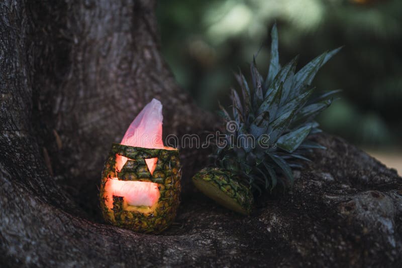 Halloween Pineapple with a Scary Face in a Mud Stock Photo - Image of ...