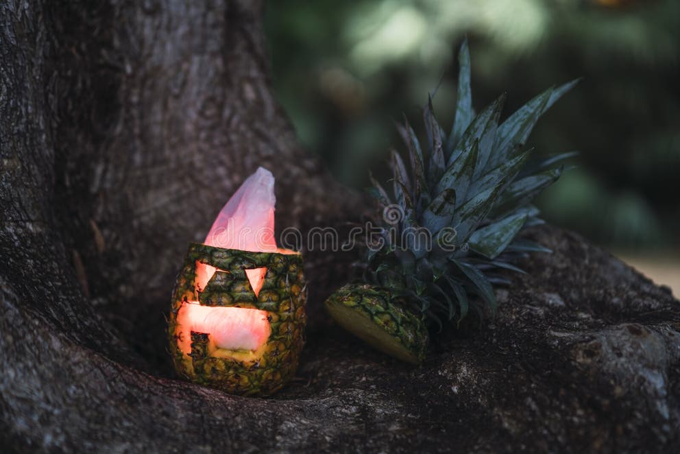 Halloween Pineapple with a Scary Face on the Roots of a Tree Stock ...