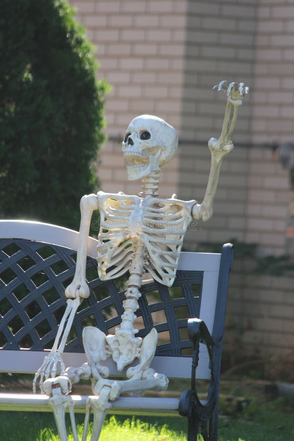 Skeleton Halloween Plastic stock photo. Image of skeleton - 107761740