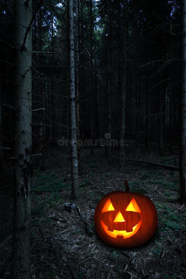 Pumpik Stock Photos - Free & Royalty-Free Stock Photos from Dreamstime