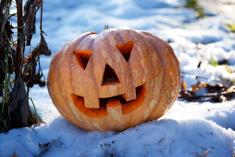 Halloween pumpkin stock photo. Image of outdoors, funny - 21412878