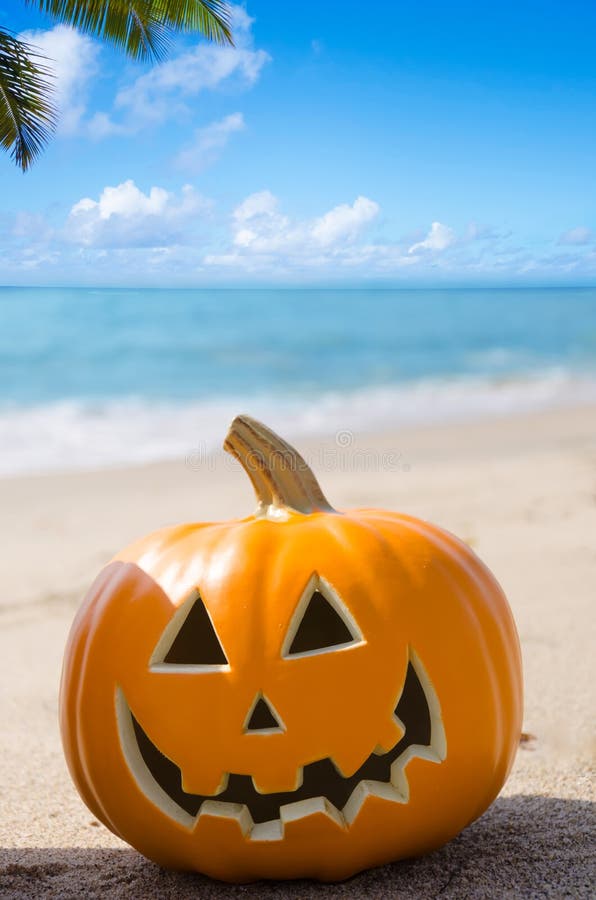 Halloween Pumpkin on the Beach Stock Image - Image of rock, orange ...