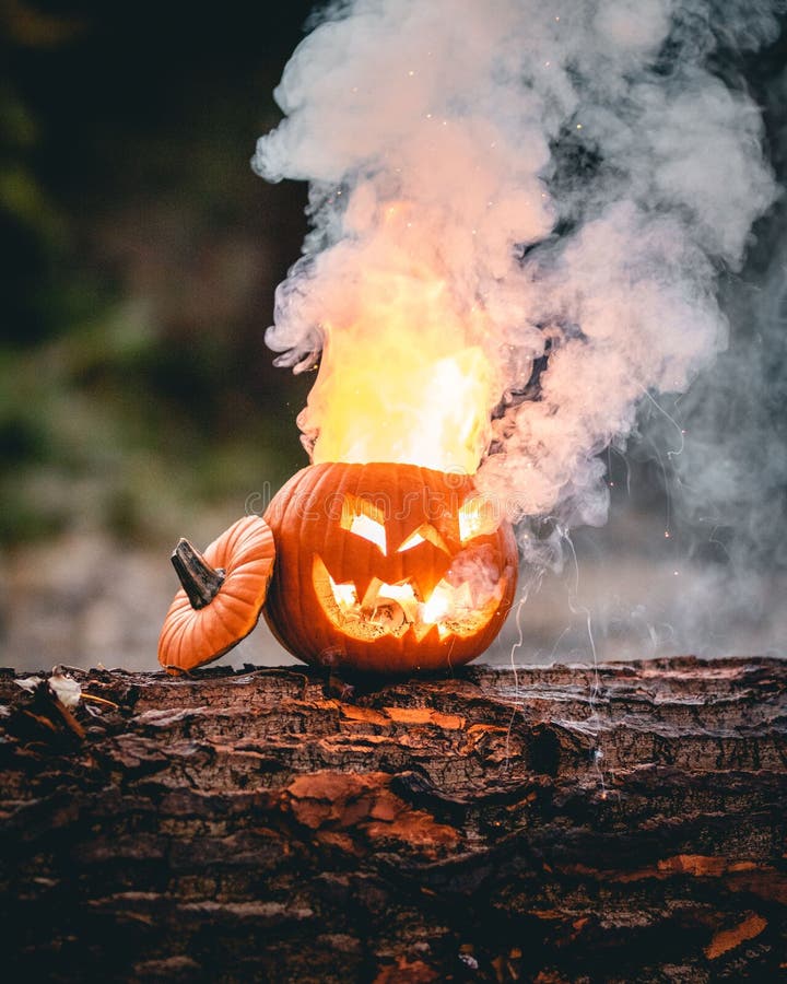 Halloween Pumpkin Burning in the Fores Stock Image - Image of scary ...