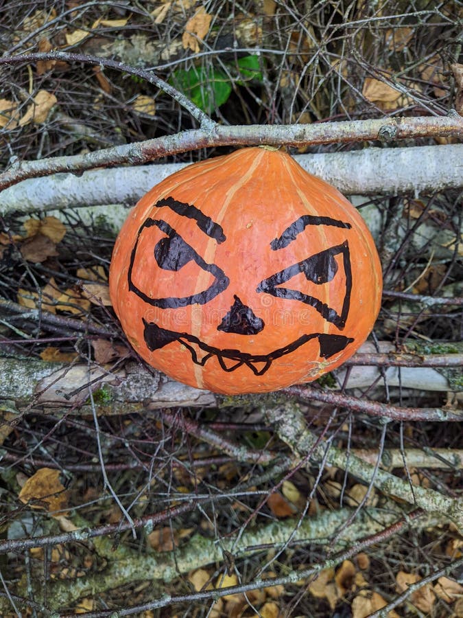 Halloween Pumpkin between Dry Tree Branches in the Forest Stock Photo ...