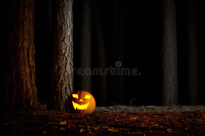 Halloween Pumpkin in a Forest at Night Stock Photo - Image of halloween ...