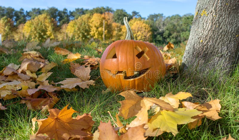 Halloween Pumpkin with a Grinning Face Stands on the Tree Stock Photo ...