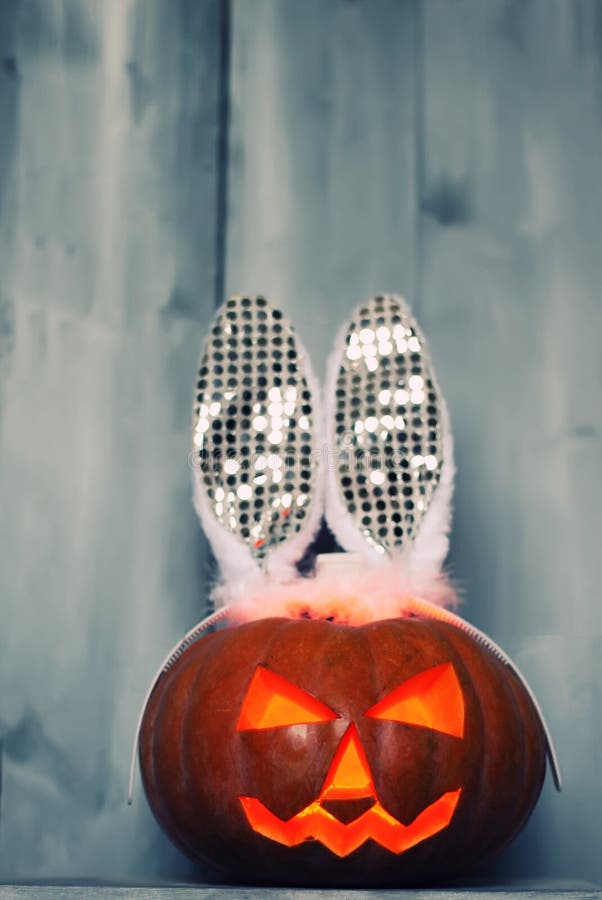 Halloween pumpkin stock photo. Image of bunny, night - 34280054