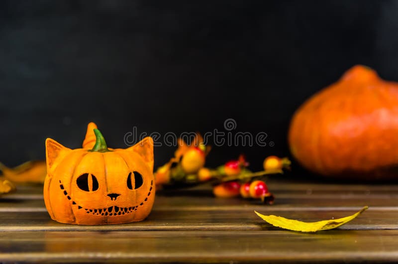 Halloween. Pumpkin in the Rain Stock Photo - Image of delicious, autumn ...