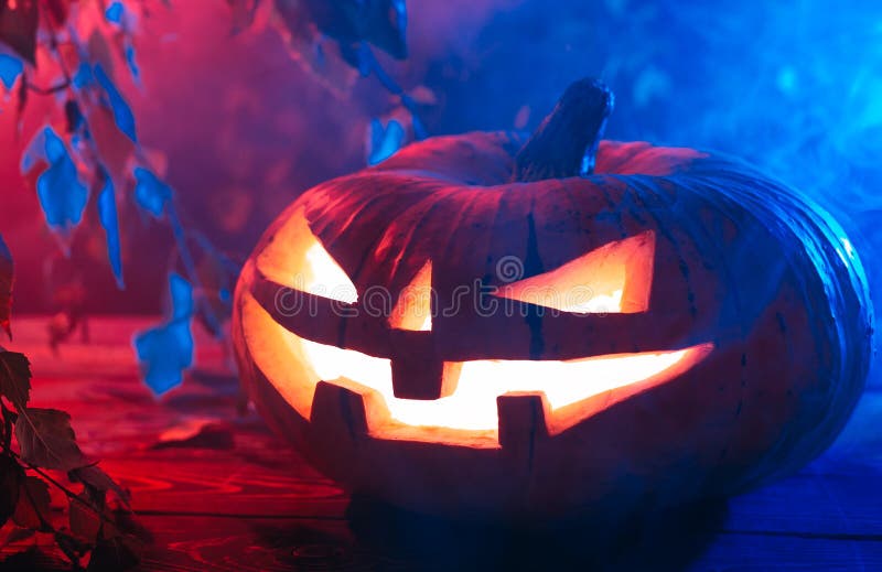 Halloween Pumpkin on a Tree in a Dark Forest at Night. Stock Image ...