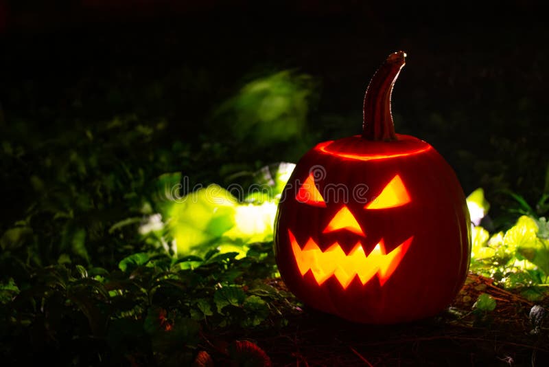 Halloween Pumpkin on a Tree Stump on a Dark Night Stock Photo - Image ...