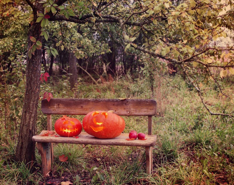 Halloween Pumpkin on Wooden Bench Stock Image - Image of outdoor ...