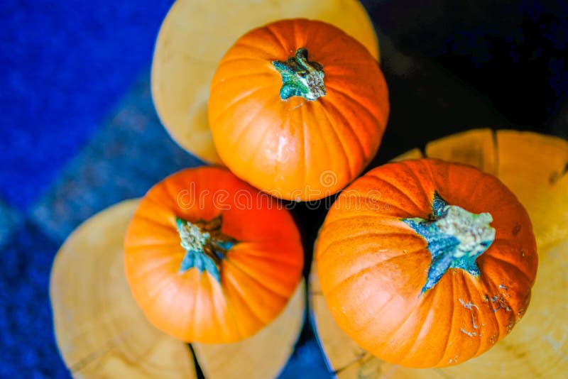 Halloween Pumpkins on Display on Wood Logs Stock Image - Image of ...