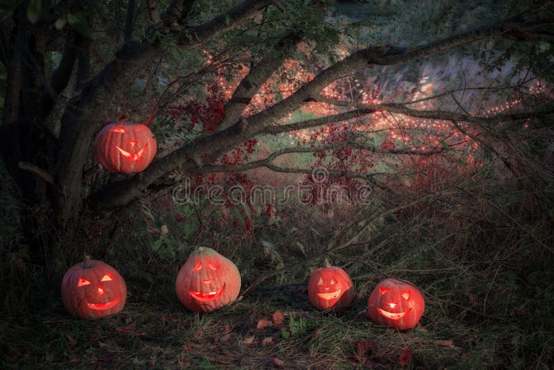 Halloween Pumpkins in Night Forest Stock Photo - Image of night ...