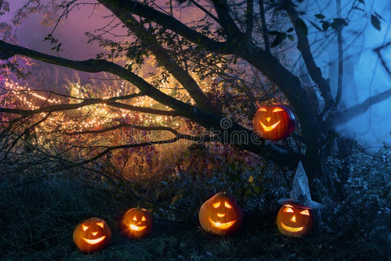 Halloween Pumpkins in Night Forest Stock Photo - Image of jackolantern ...