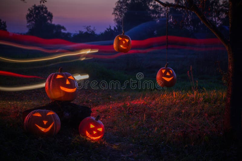 Halloween Pumpkins in Night Outdoor Stock Photo - Image of autumn ...
