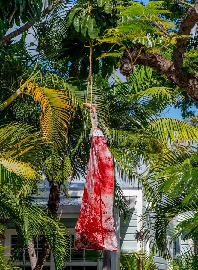 Halloween Scene, Corpse Hanging from a Tree in a Bag Stock Photo ...