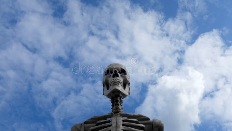 Halloween Skeleton and Blue Sky Horizontal Stock Photo - Image of skull ...
