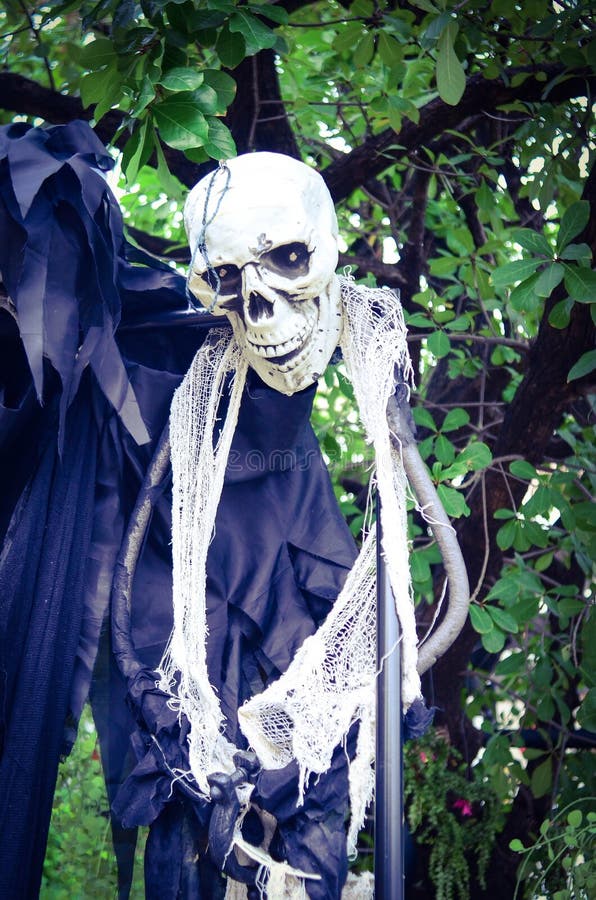 Halloween Skeleton Hanging from a Tree Stock Photo - Image of danger ...