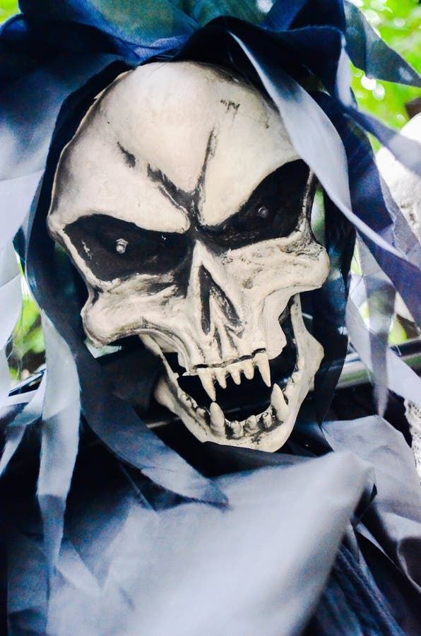 Halloween Skeleton Hanging from a Tree Stock Image - Image of blood ...