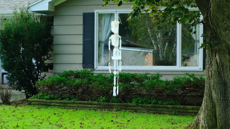 A White Skeleton Hangs on a Tree of the House, Yellow Pumpkin for ...