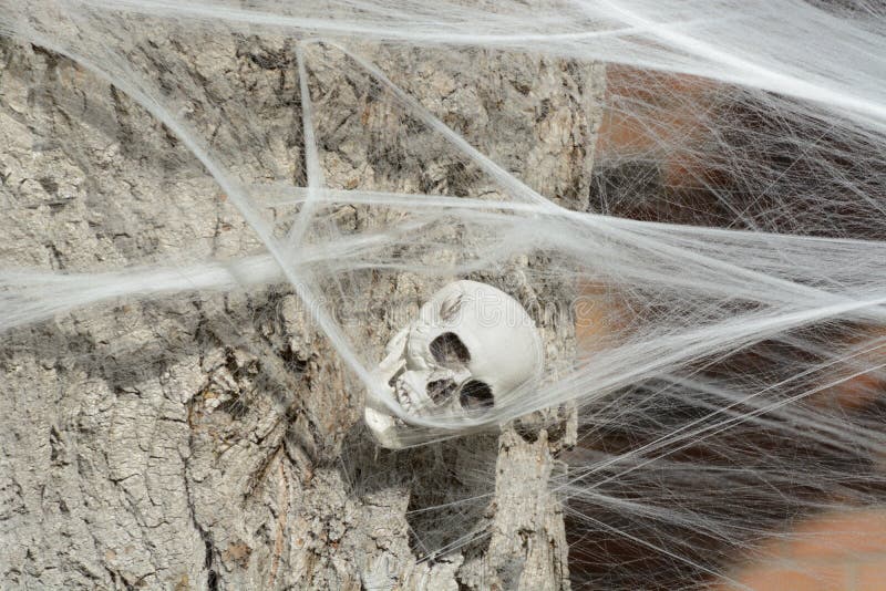 Halloween skeleton skull stock image. Image of face - 102836199