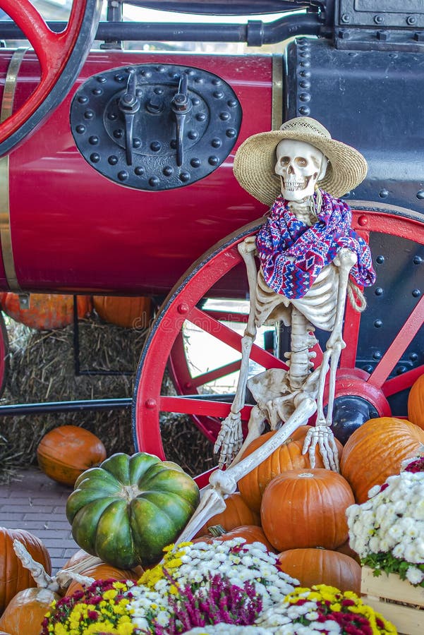 Halloween Skeleton. a Skeleton is Wearing a Straw Hat, a Halloween ...