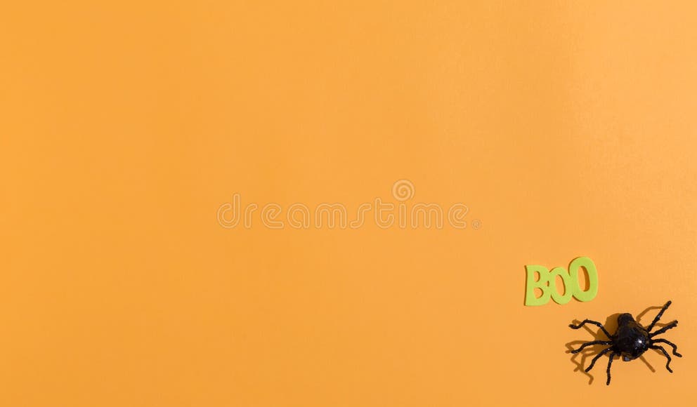 Halloween Spider Overhead View Stock Image - Image of single, holiday ...