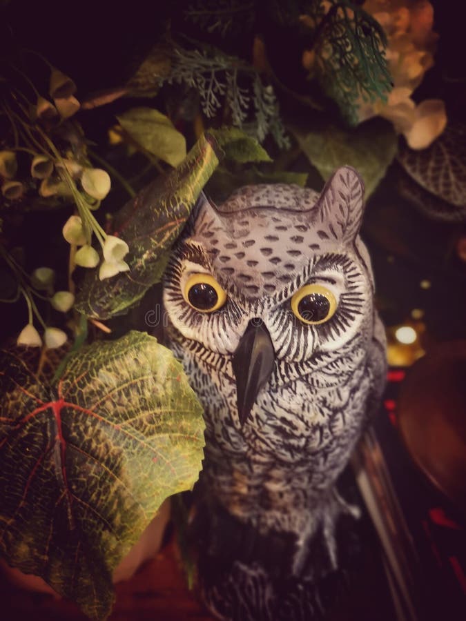 Halloween Still Life : Cute Owl Sculpture with Flower Stock Photo ... Halloween Still Life : Cute Owl Sculpture with Flower Stock Photo ...