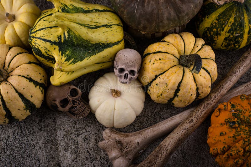 Halloween Still Life with Pumpkin and Skull Stock Image - Image of ...