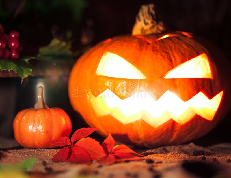 Halloween Still Life with Pumpkins Stock Image - Image of orange ...